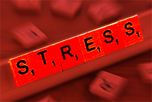 HolidayStress300 | South Suburban College