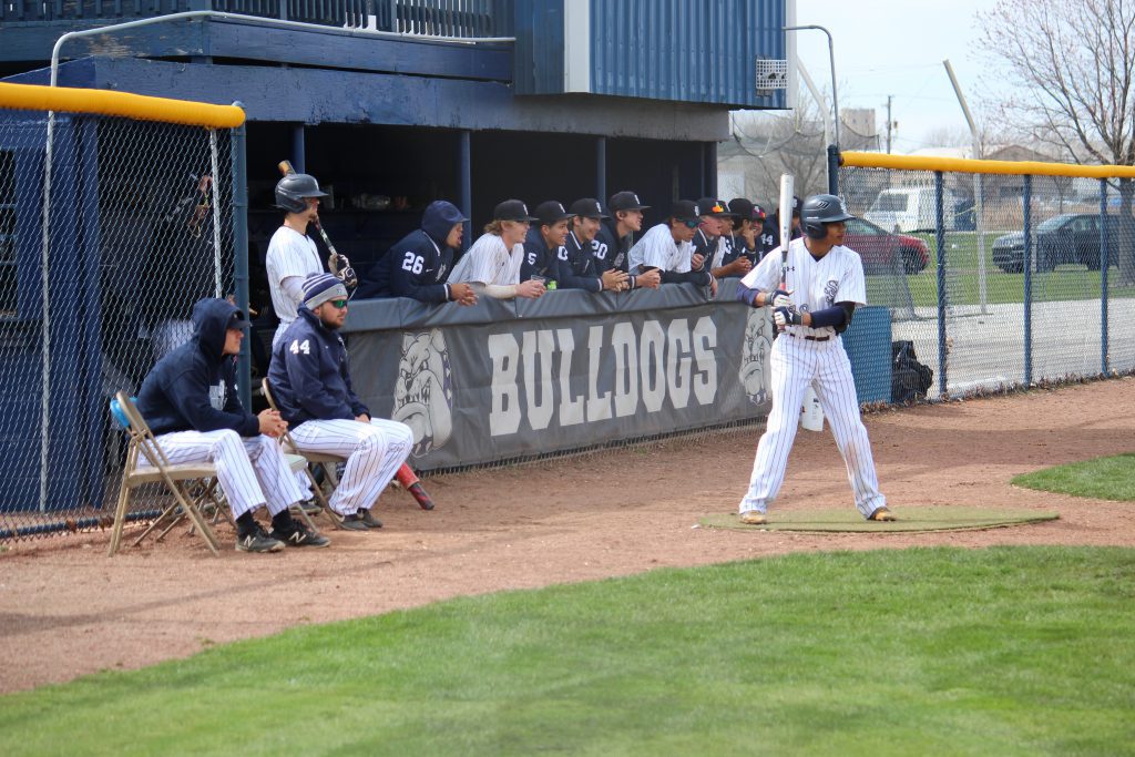 Bulldog Bench | South Suburban College